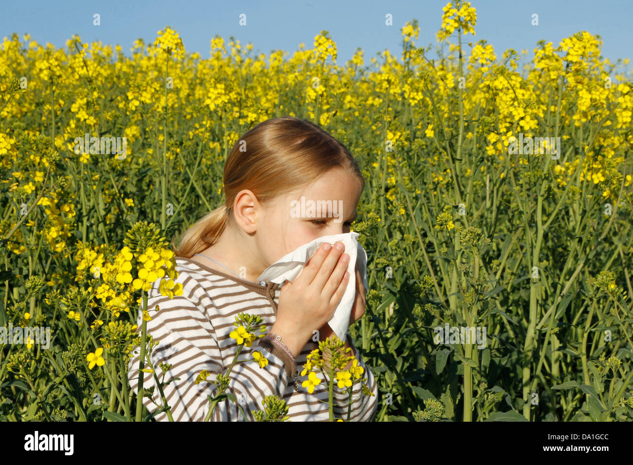 Child hay fever allergy handkerchief hi-res stock photography and ...