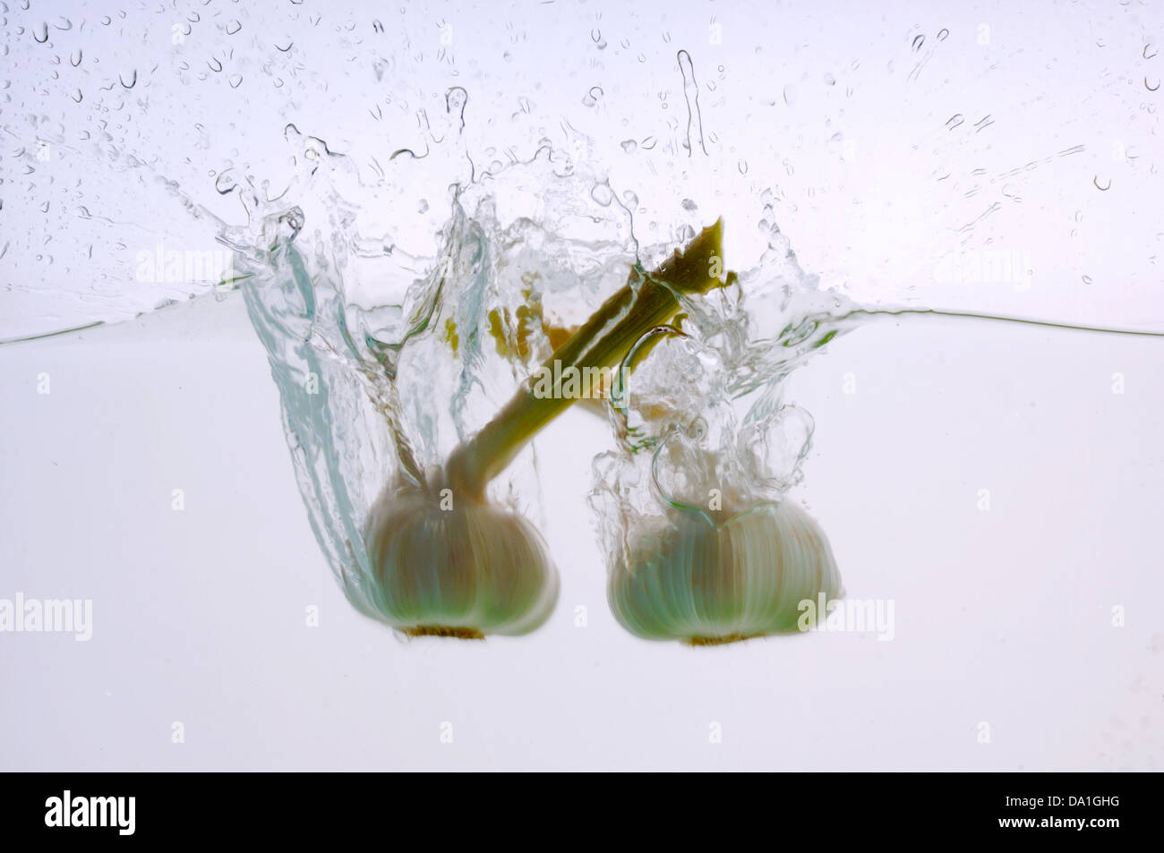 Bubbles garlic hi-res stock photography and images - Alamy