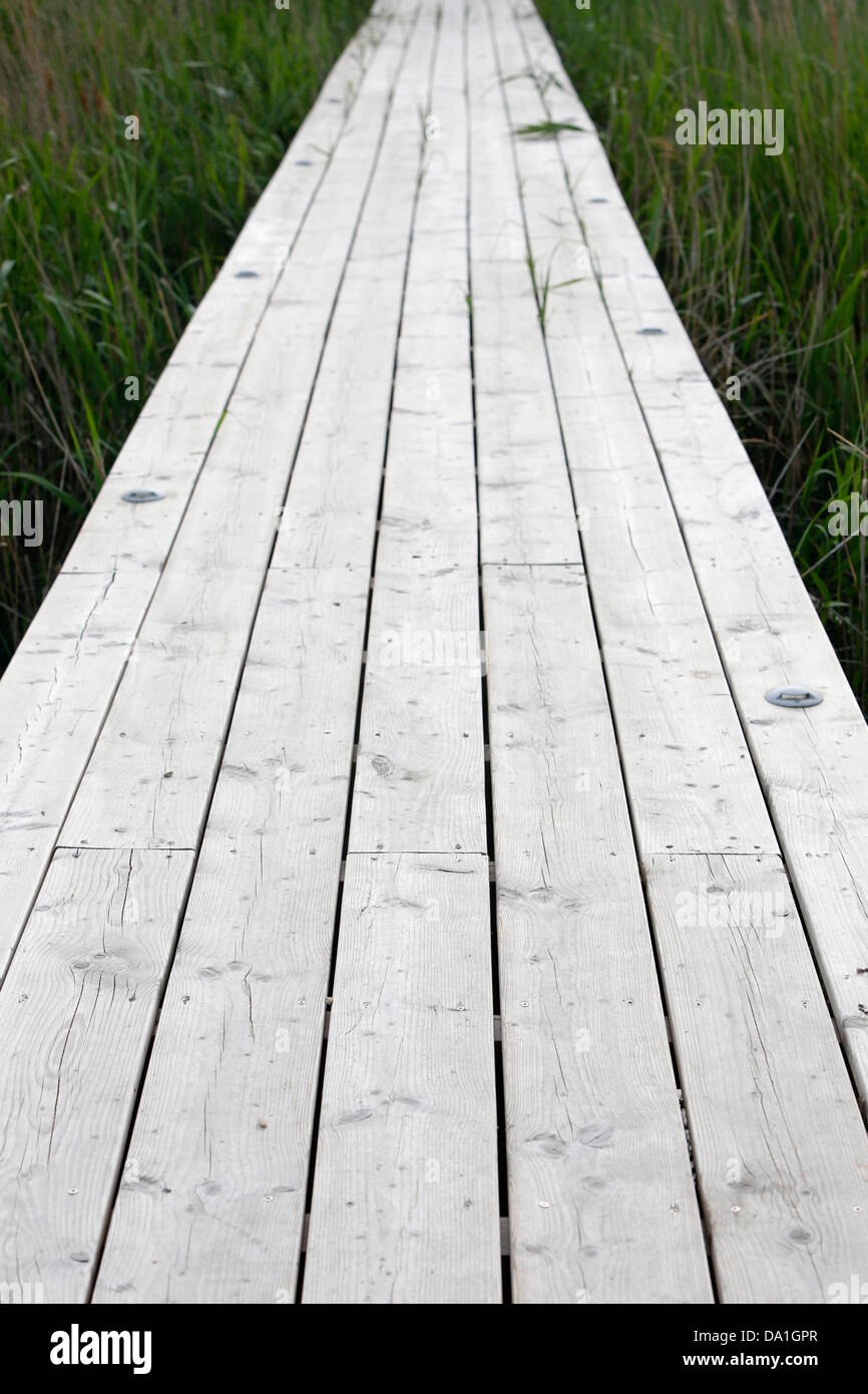 Weed path hi-res stock photography and images - Alamy