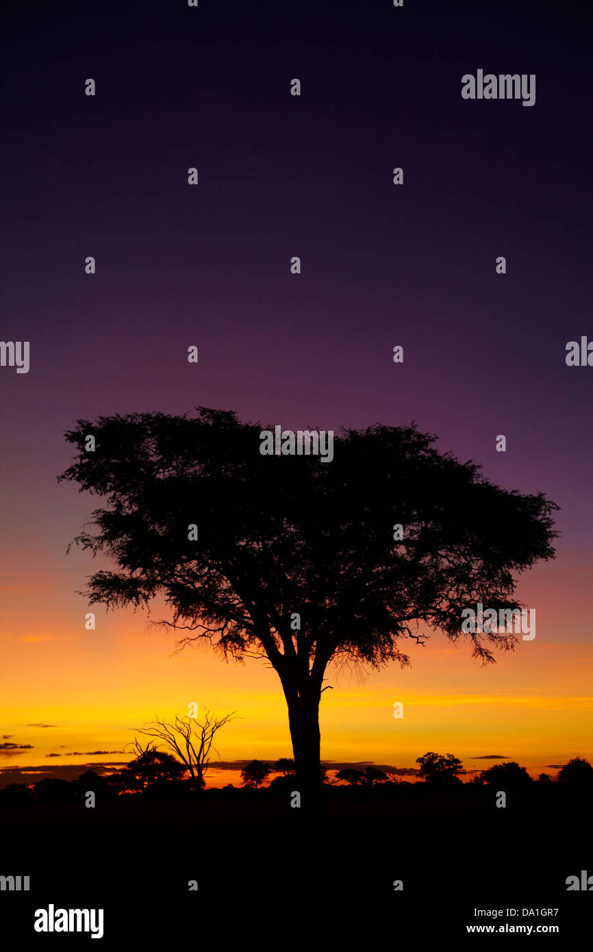 Sunset from Ngweshla Camp, Hwange National Park, Zimbabwe, Southern ...