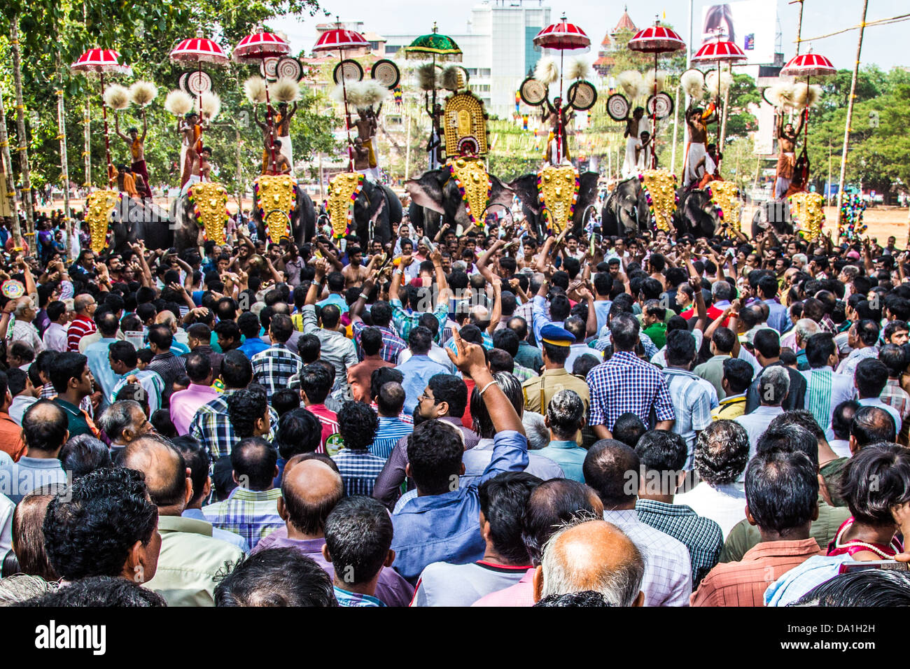 Crowd thrissur pooram hi-res stock photography and images - Alamy