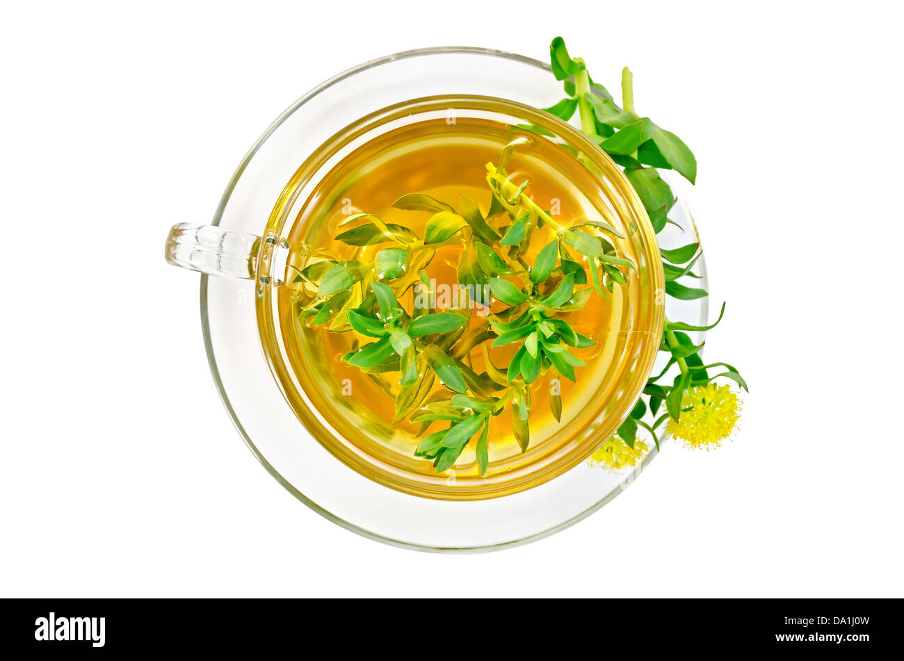 Rhodiola herb hi-res stock photography and images - Alamy