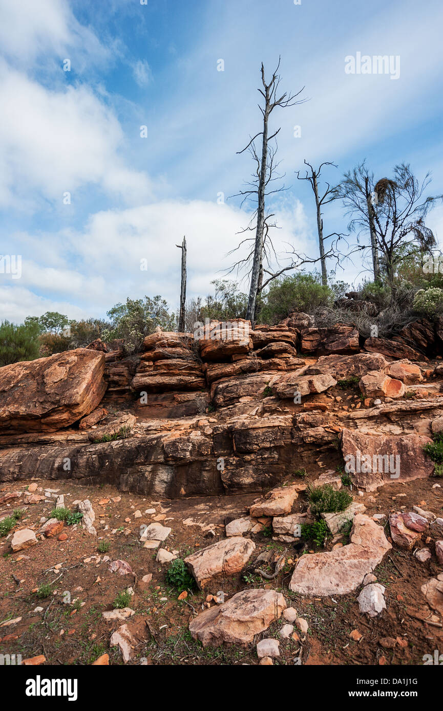 The ruggedly beautiful Flinders Ranges in the Australian outback Stock ...