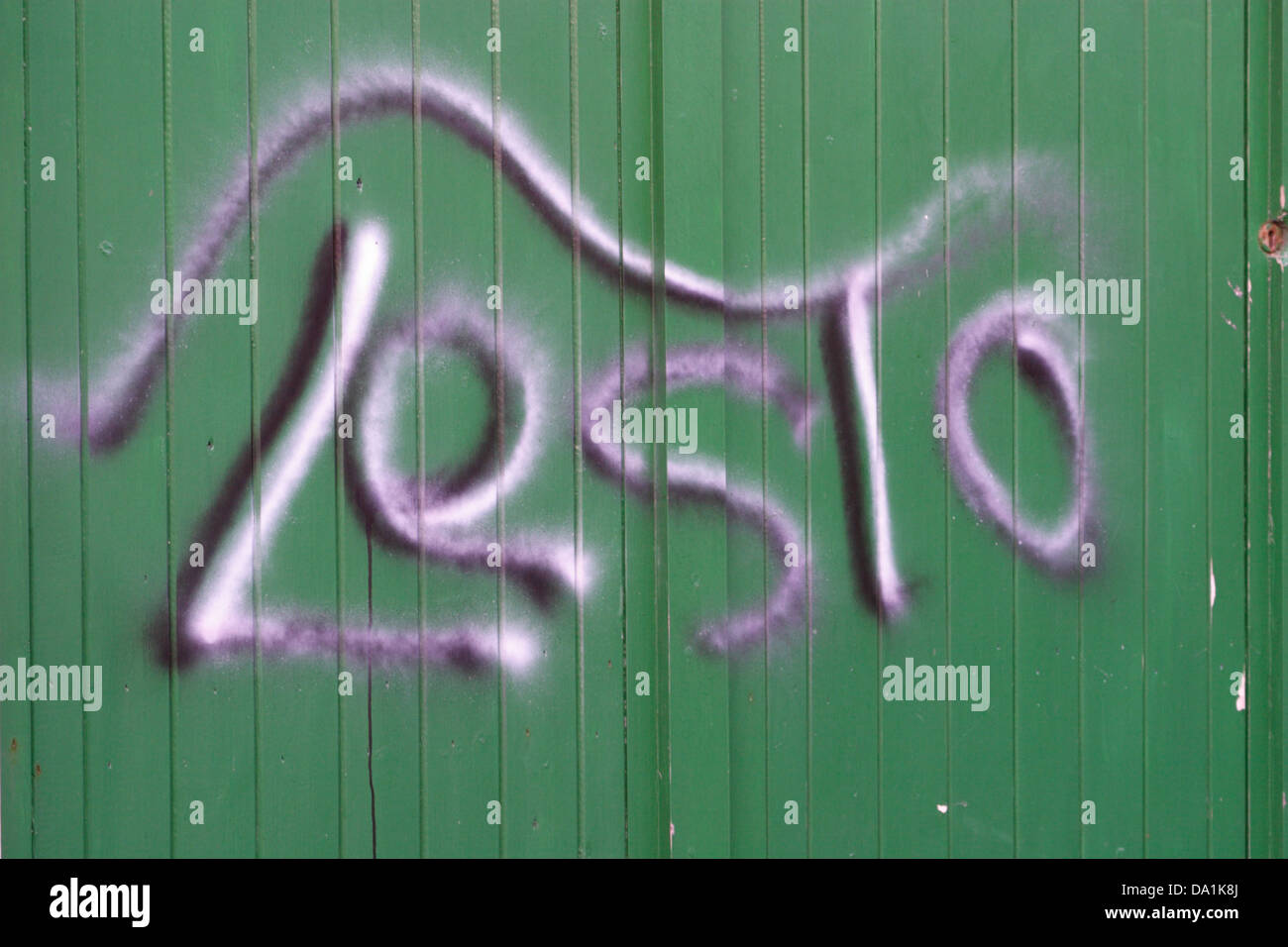 Wooden green Back Gate with spray painted grafitti, door handle, lock ...