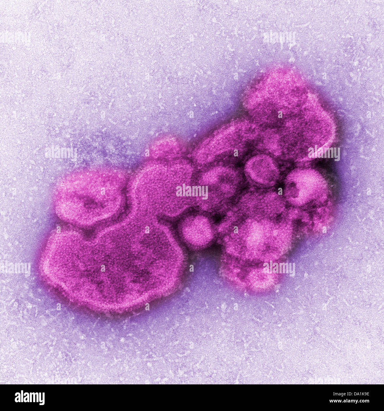 INFLUENZA A H7N9 VIRUS Stock Photo - Alamy
