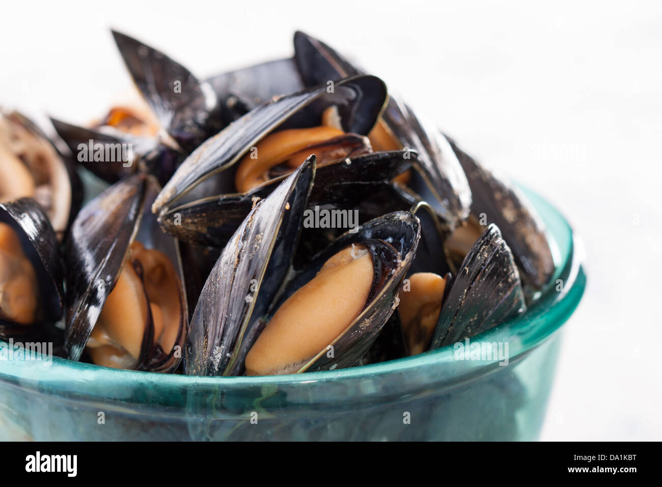 Closeup blue mussels hi-res stock photography and images - Alamy
