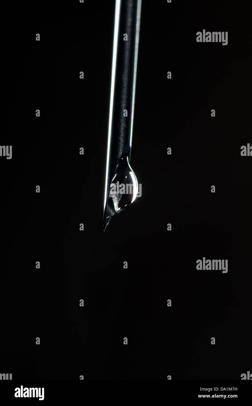 water drop on the needle Stock Photo - Alamy