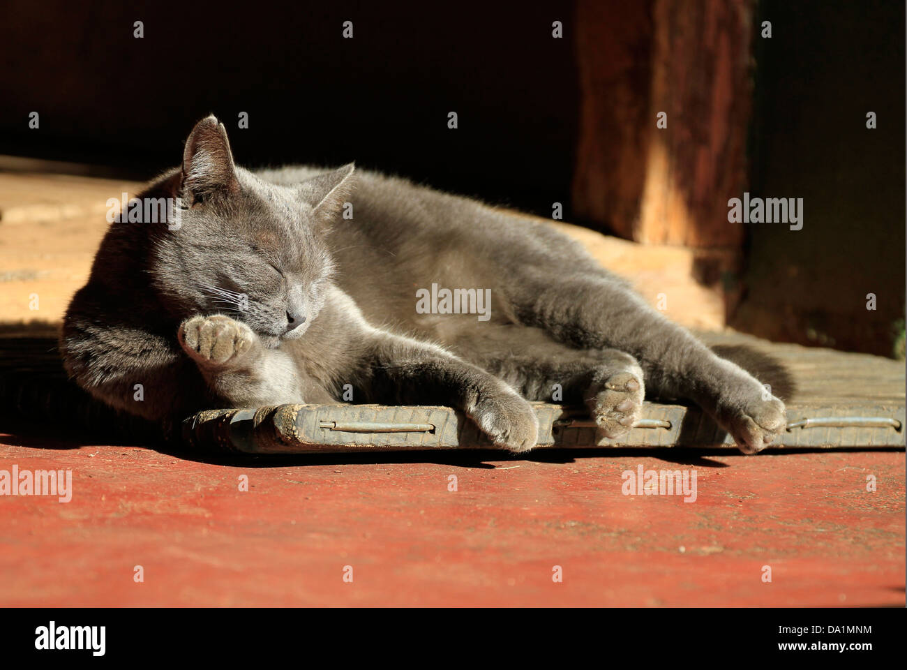 Nap in sun hi-res stock photography and images - Alamy