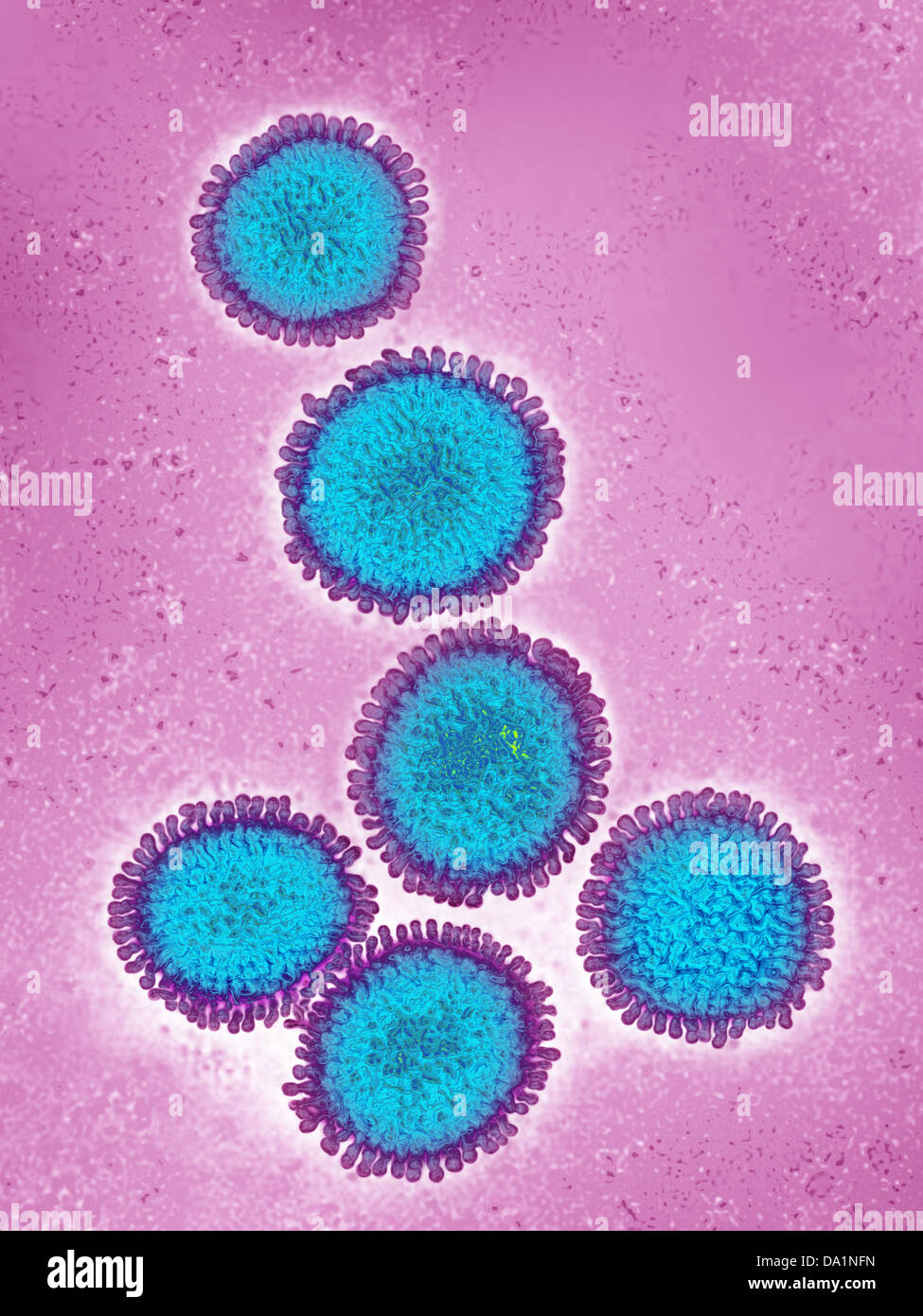 INFLUENZA VIRUS, TEM Stock Photo - Alamy