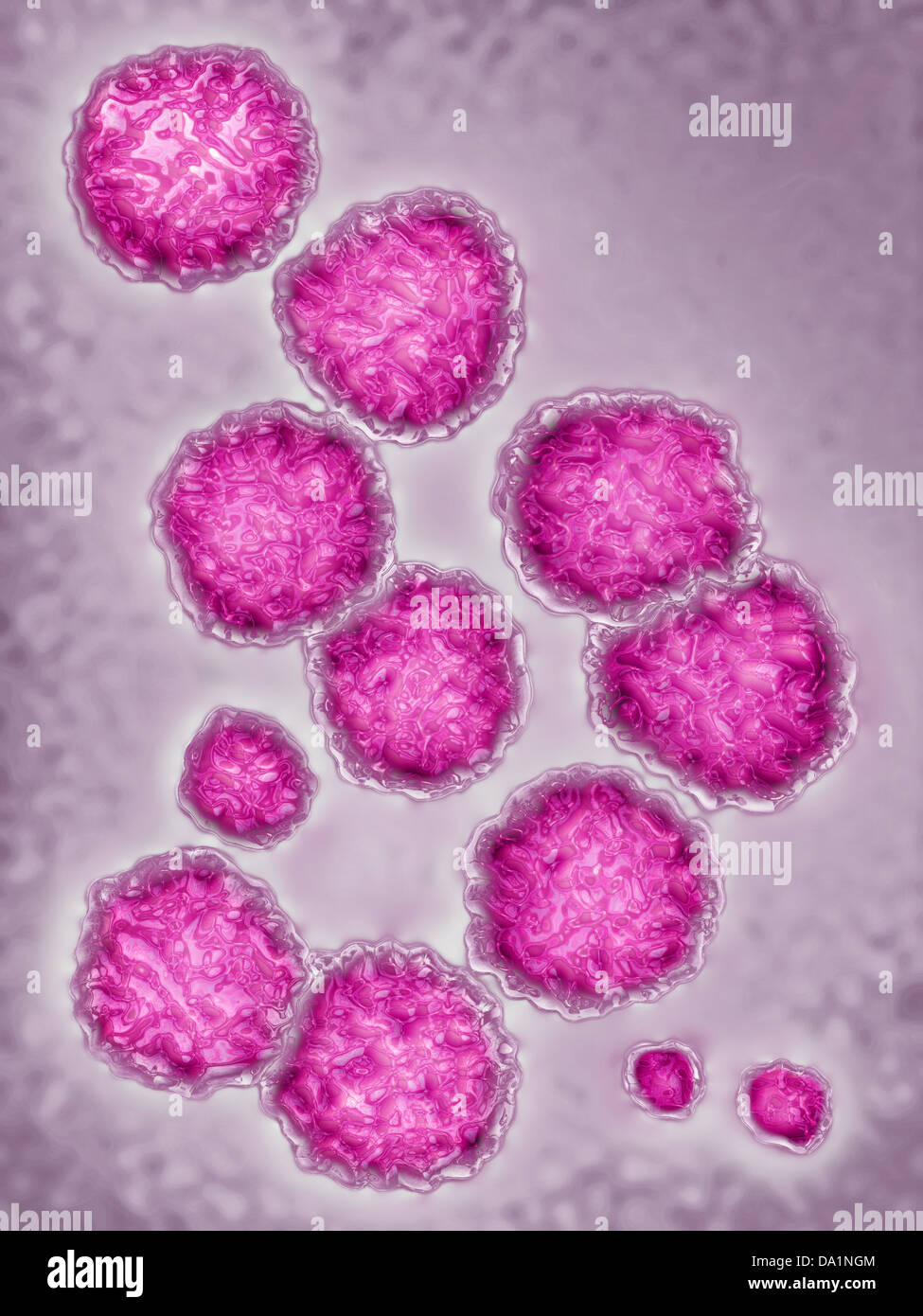 Hepatitis c virus microscope hi-res stock photography and images - Alamy