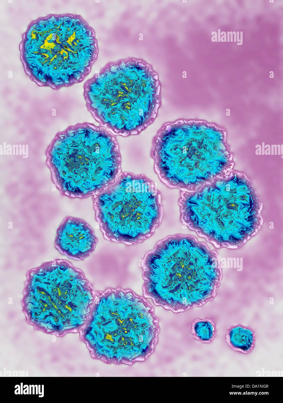 HEPATITIS C VIRUS Stock Photo - Alamy