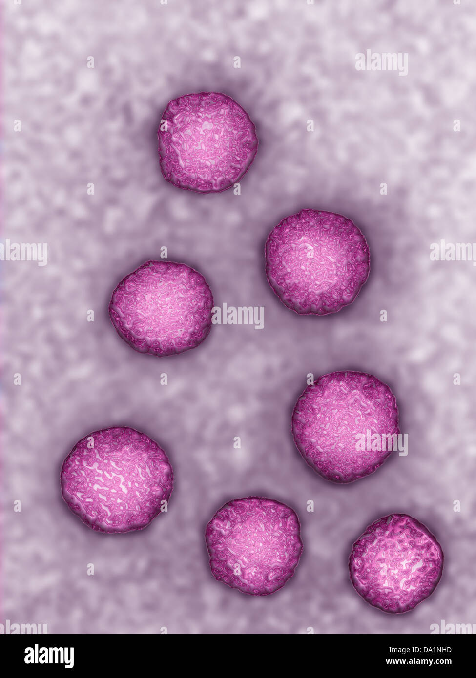 Hepatitis e hi-res stock photography and images - Alamy