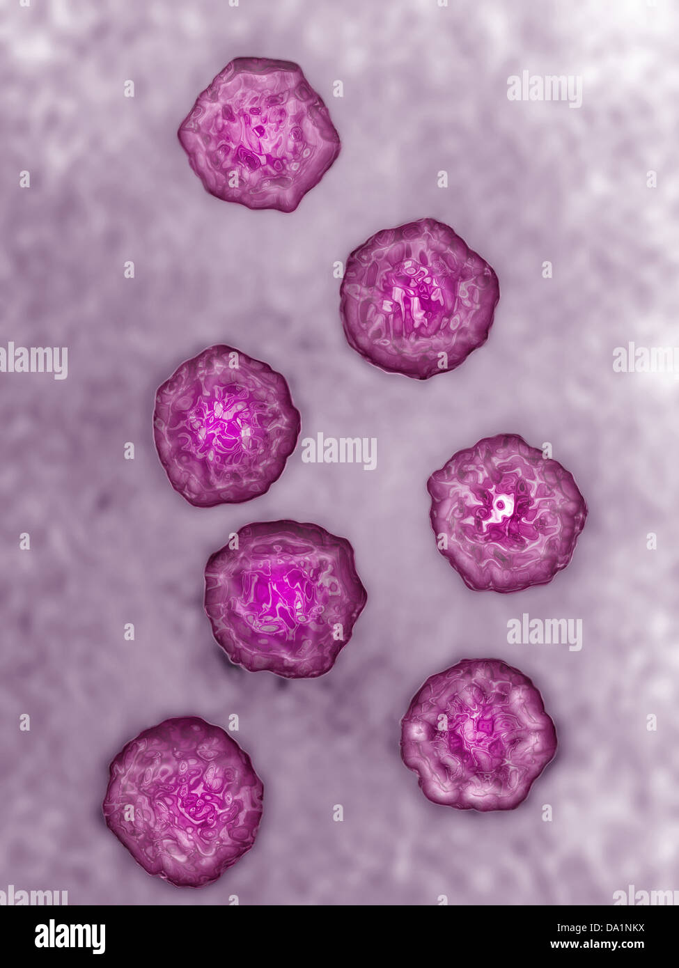 Polio virus micrograph hi-res stock photography and images - Alamy