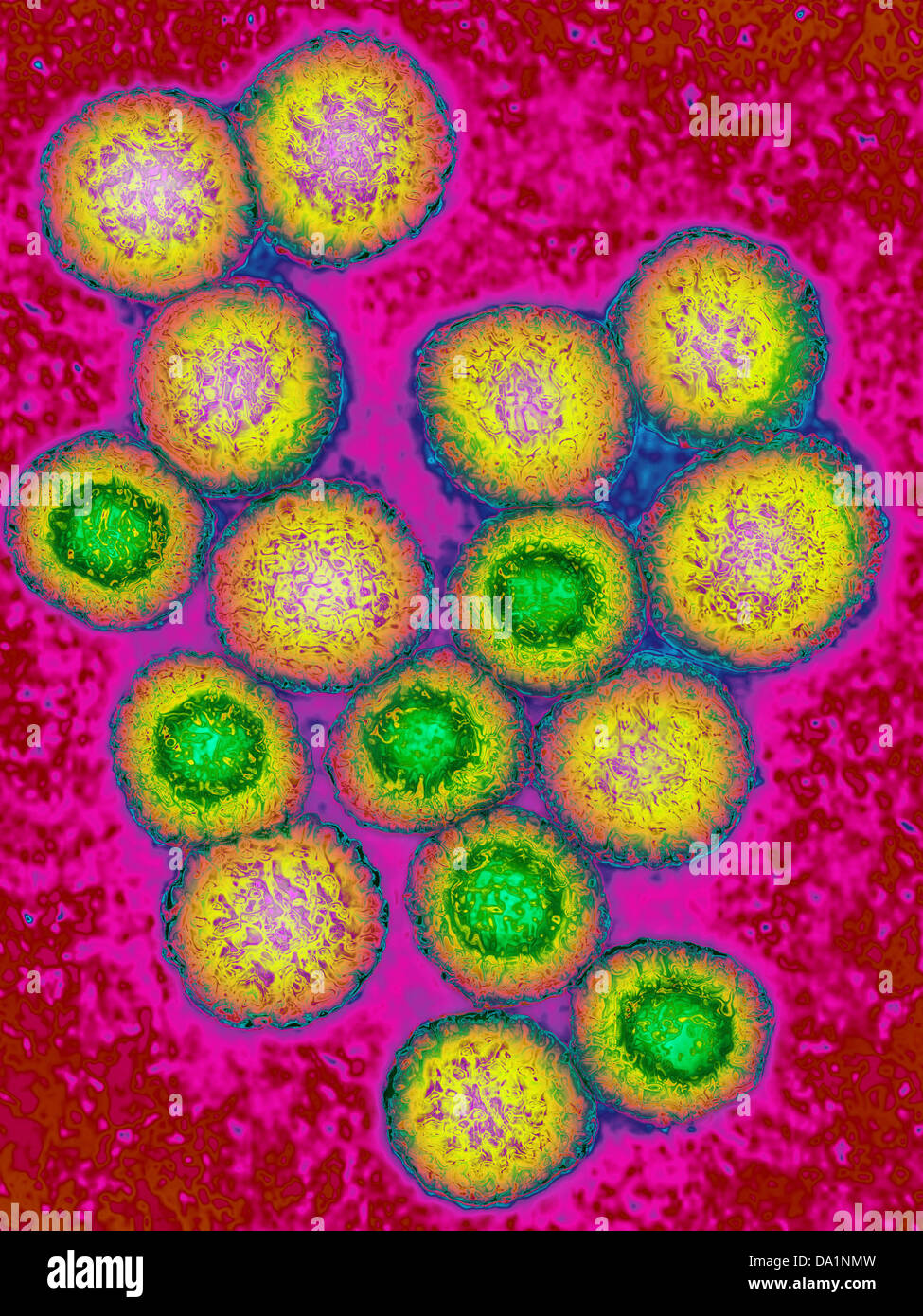Rotavirus hi-res stock photography and images - Alamy