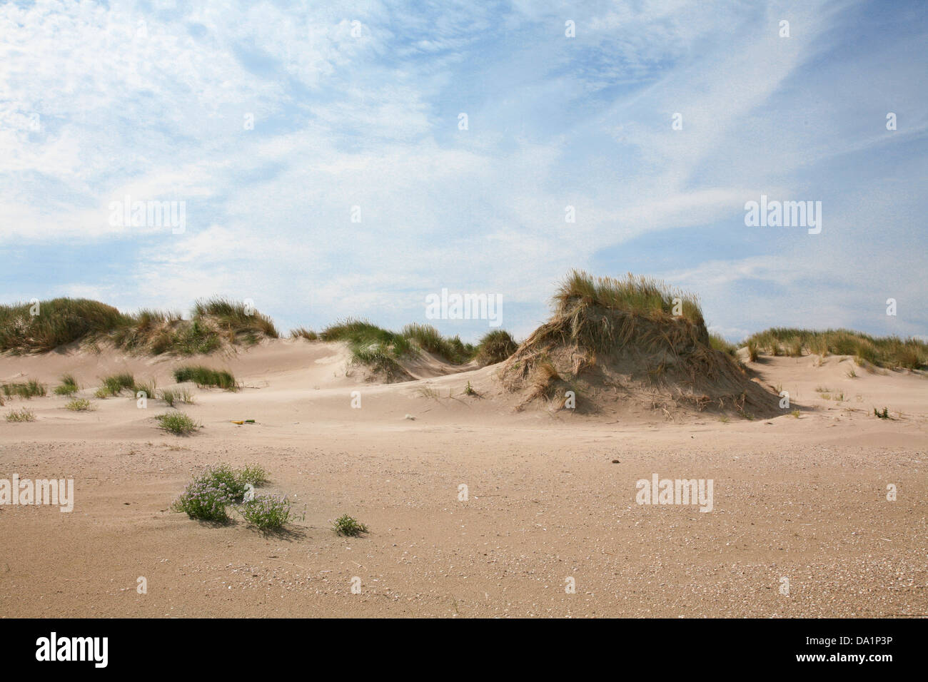 Dunes sea beach hi-res stock photography and images - Alamy