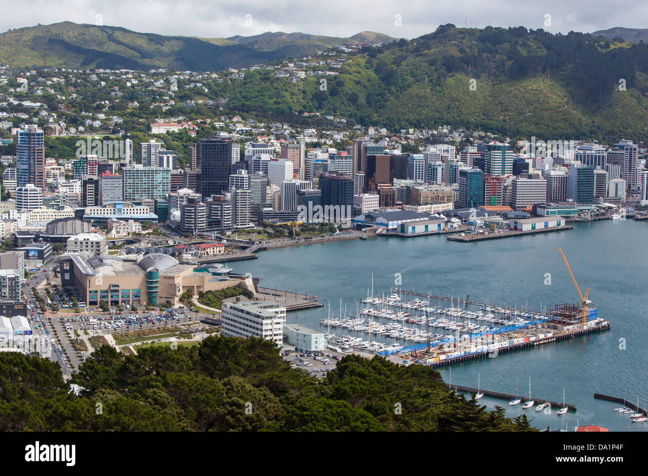 View from Mt Victoria over Wellington, New Zealand Stock Photo - Alamy