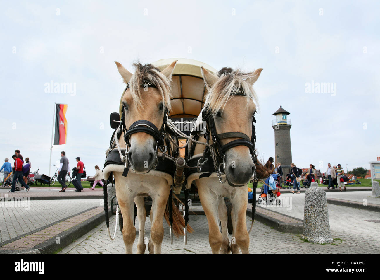 Humans and horses hi-res stock photography and images - Alamy