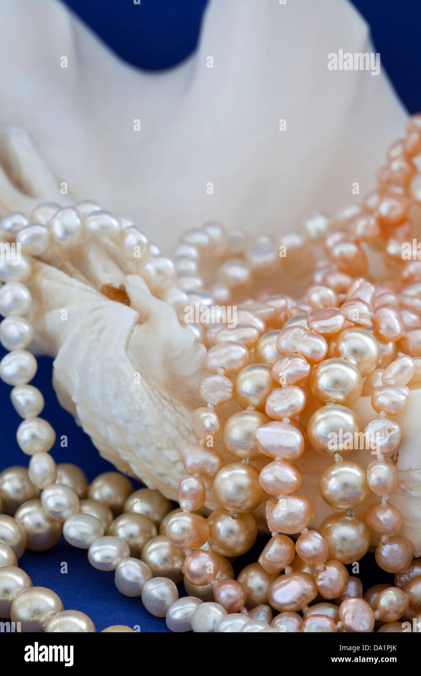 Pearl necklace shells hi-res stock photography and images - Alamy