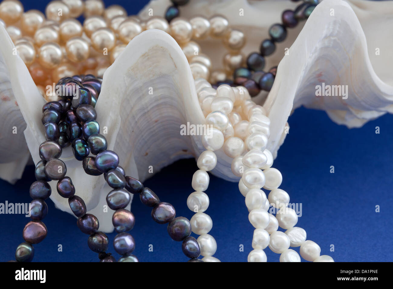 Pacific oyster shell pearl hi-res stock photography and images - Alamy