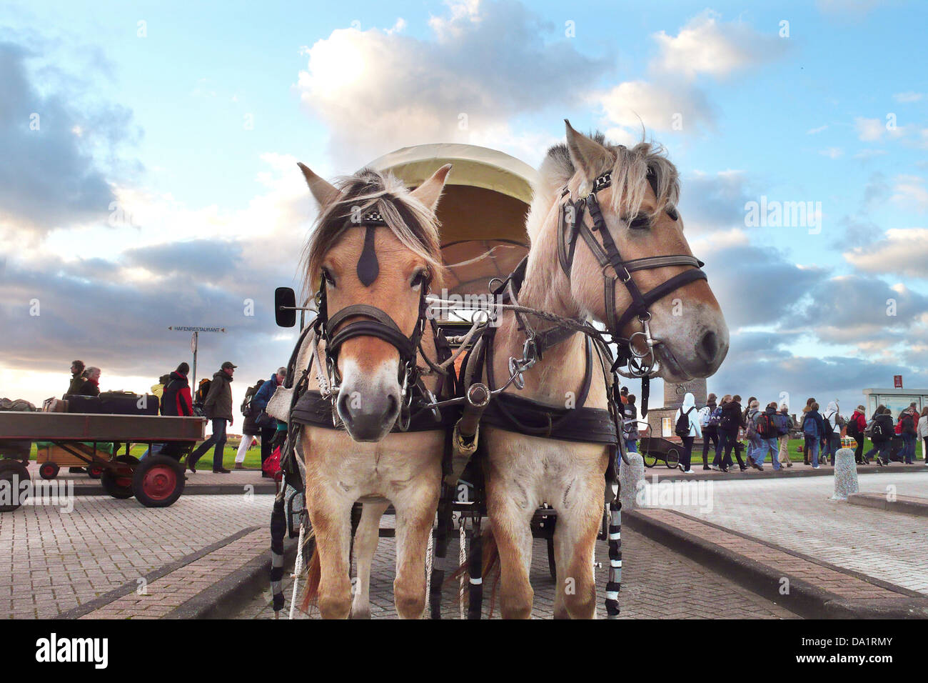 Carriage tack hi-res stock photography and images - Alamy