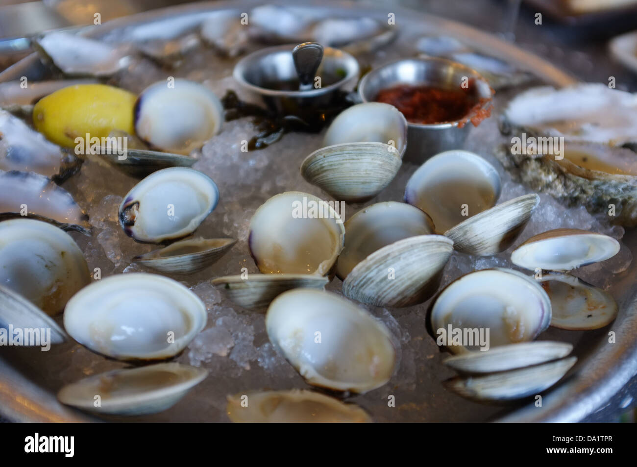 A plate of Littleneck clams served in a seafood restaurant Stock Photo ...