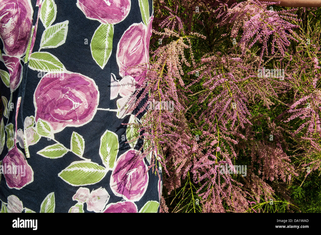 Colors of Nature Stock Photo - Alamy