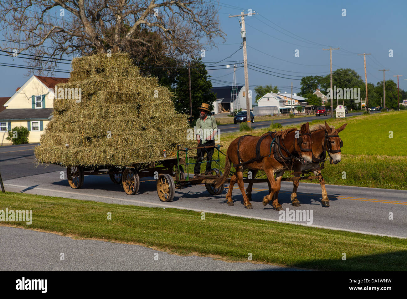 Amish farmer hi-res stock photography and images - Alamy