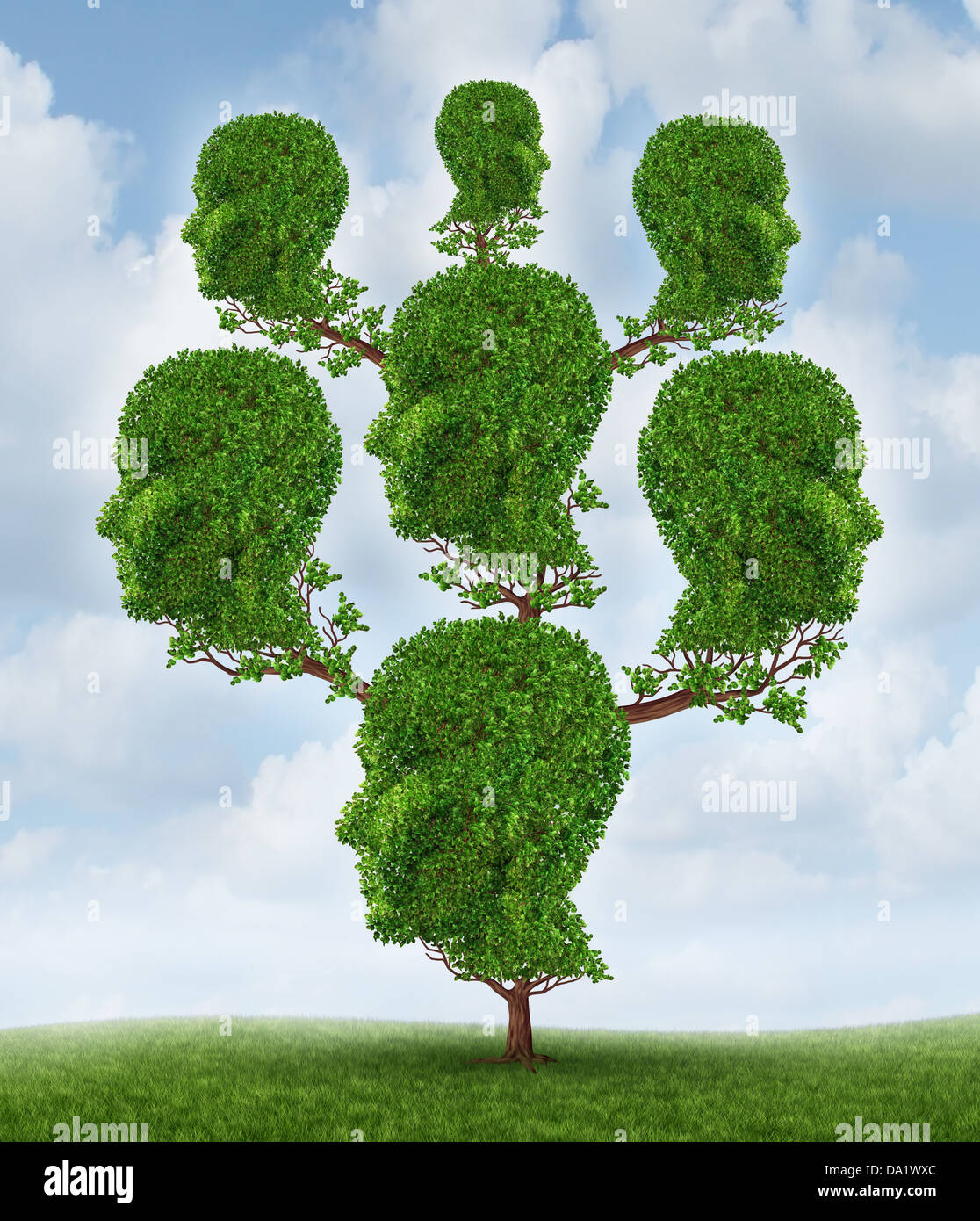 Family Tree And Community Network As A Social And Business Relationship family-tree-and-community-network-as-a-social-and-business-relationship