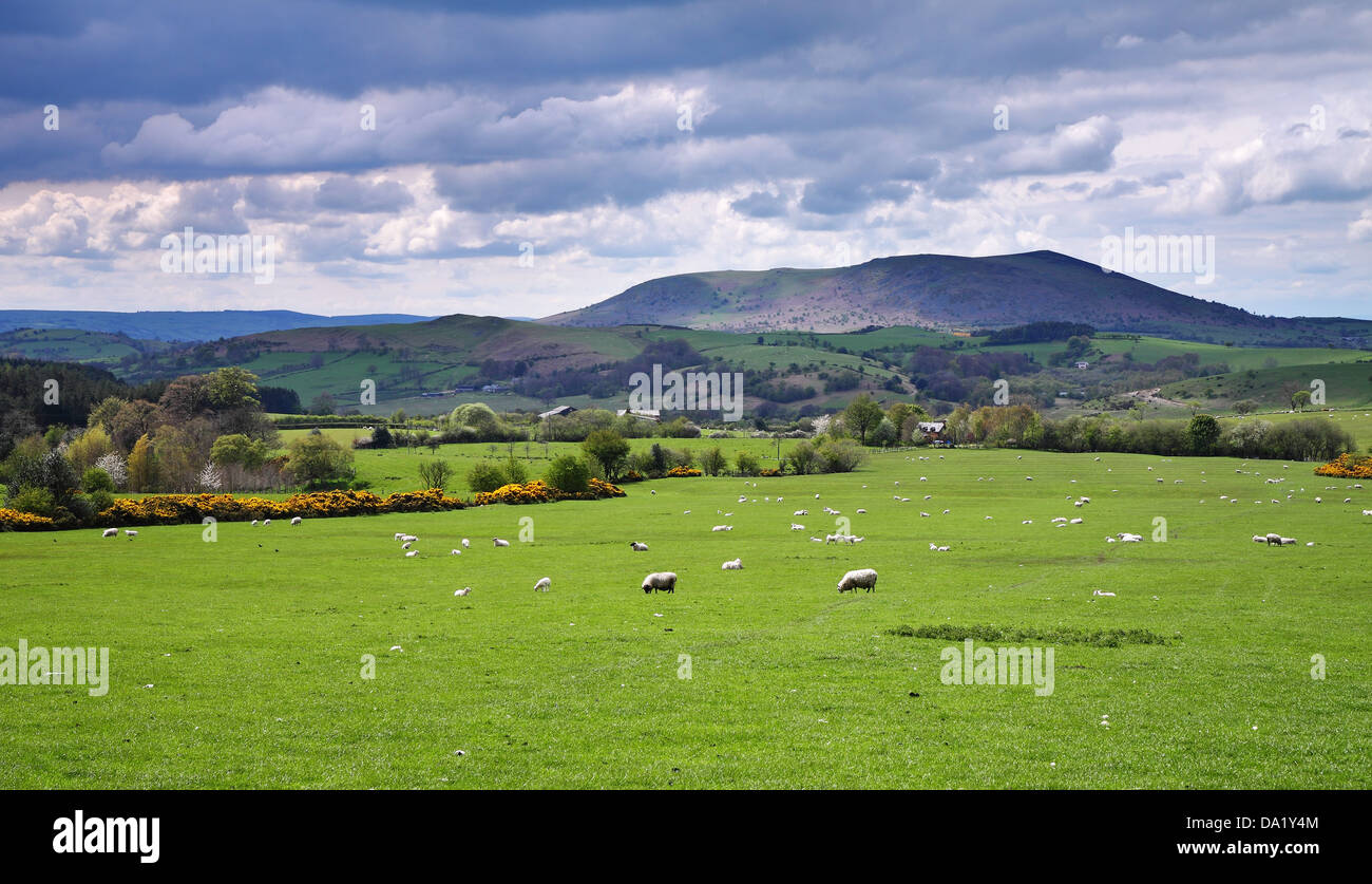 Rural shropshire hi-res stock photography and images - Alamy