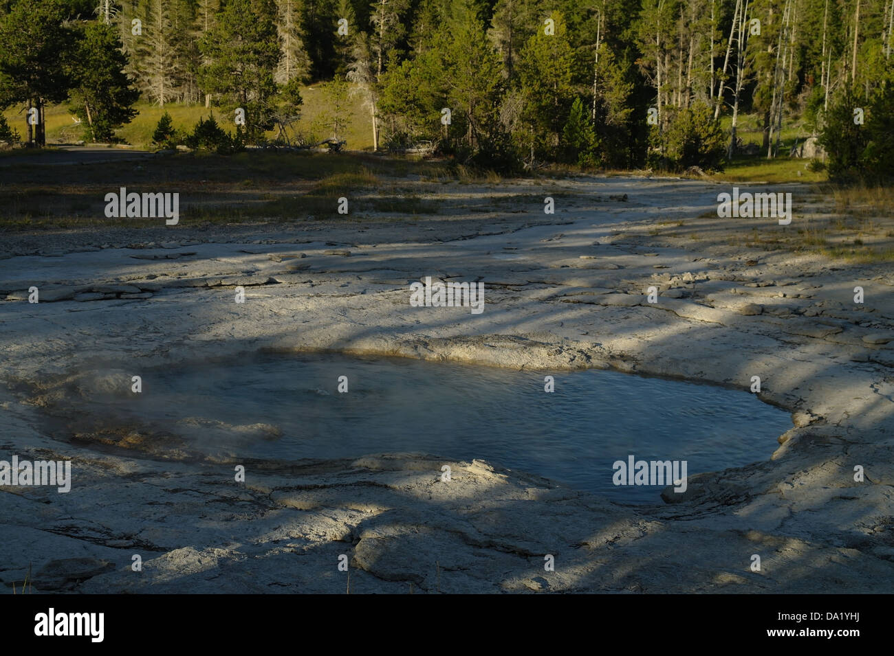 Evening sun view, to green pine trees hillside, bubbling water Spa ...