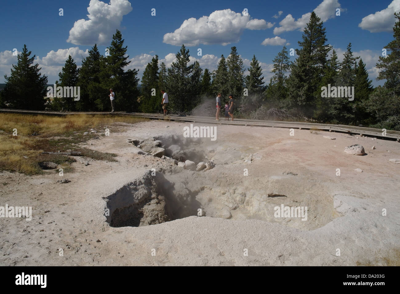 Blue sky white clouds view, to tourist boardwalk trees, grey sinter ...