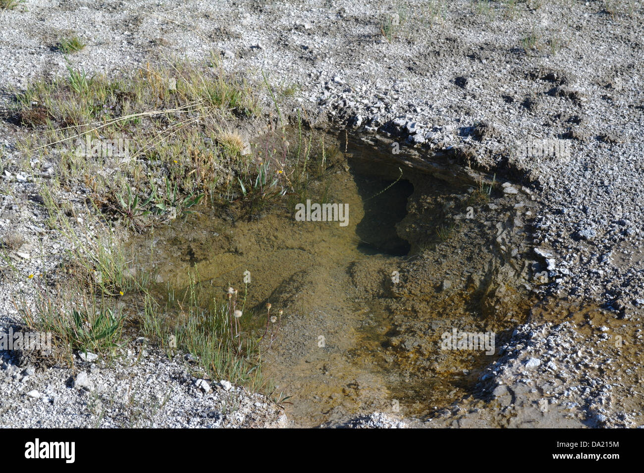 Sinter grey gravel patches green grass centre foreground hi-res stock ...