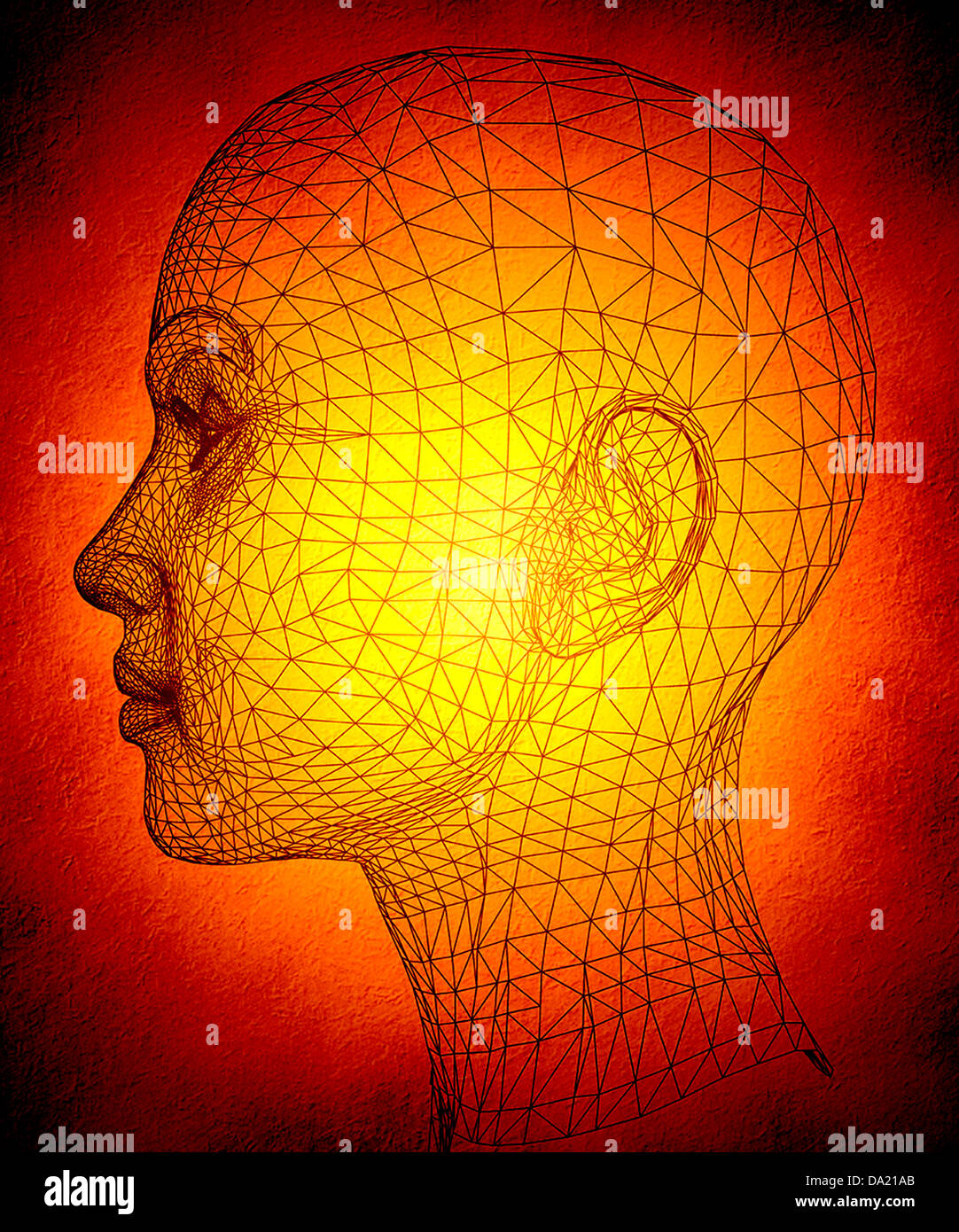 3D wire frame image of female robot head Stock Photo - Alamy