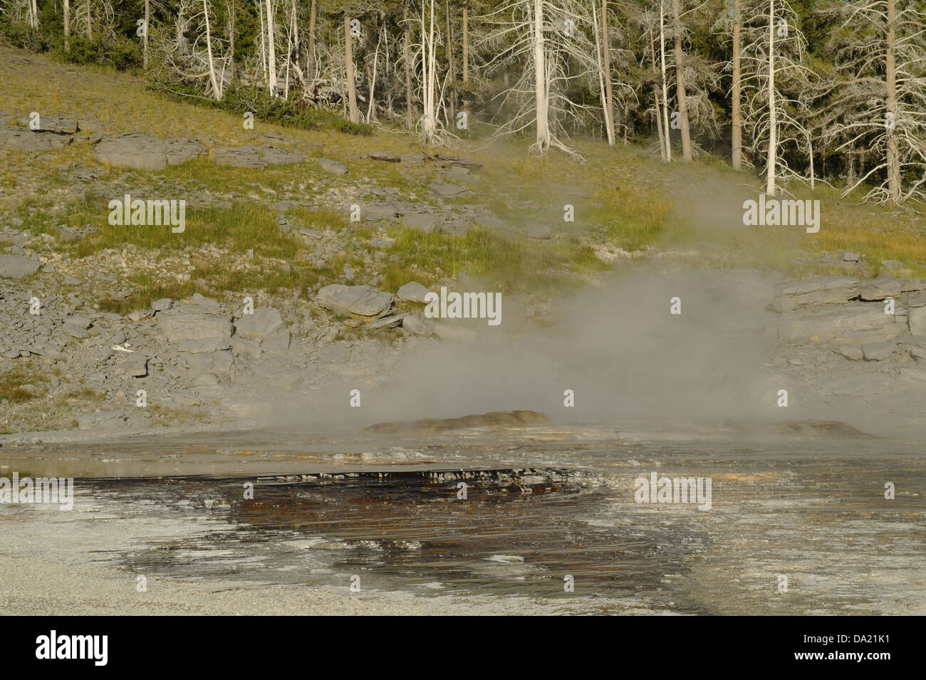 1 brown cone vent geyser hi-res stock photography and images - Alamy