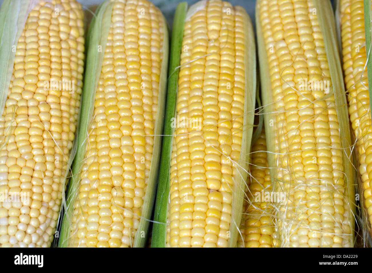 Bundle of corn hi-res stock photography and images - Alamy