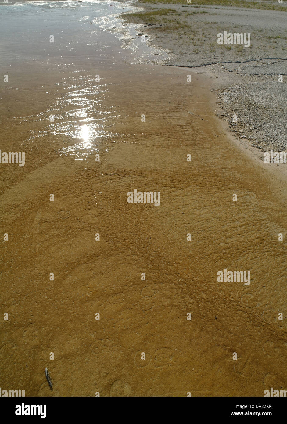 Portrait glistening sun reflecting in orange bacterial overflow waters ...