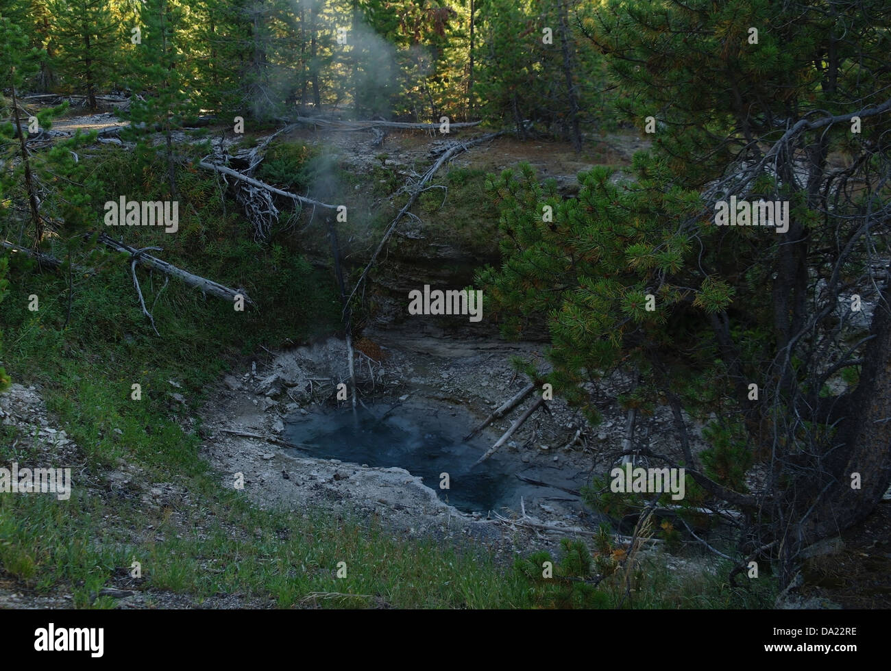 Large oval grey geyserite sinter vent steam rising centre mid distance ...