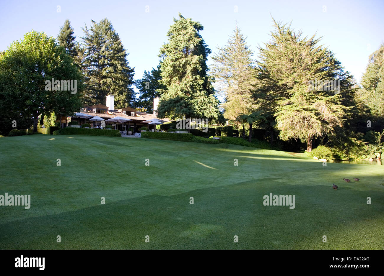 Manicured trees lawn hi-res stock photography and images - Alamy