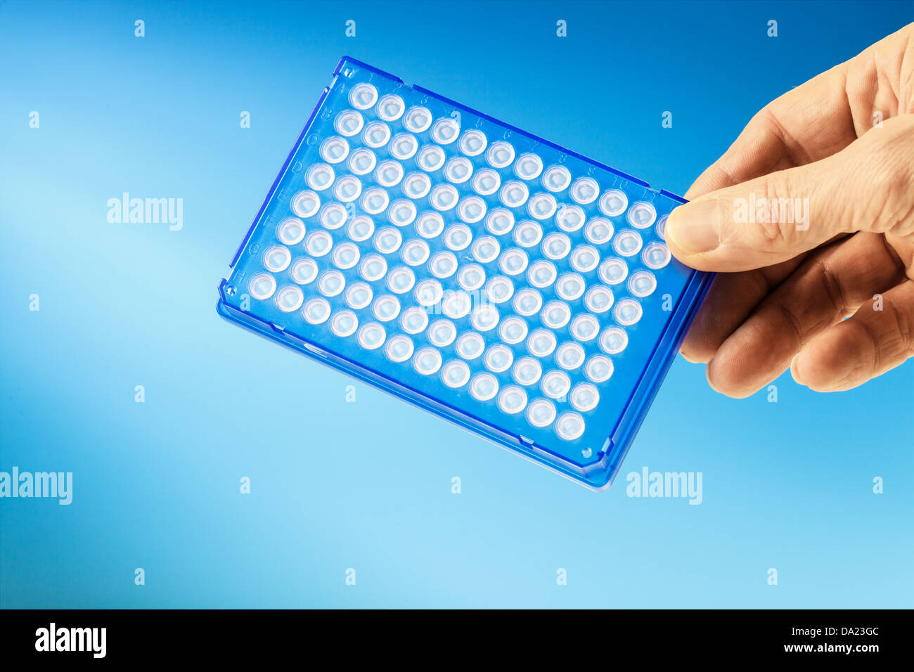 PCR multiwell plate in hand Stock Photo - Alamy