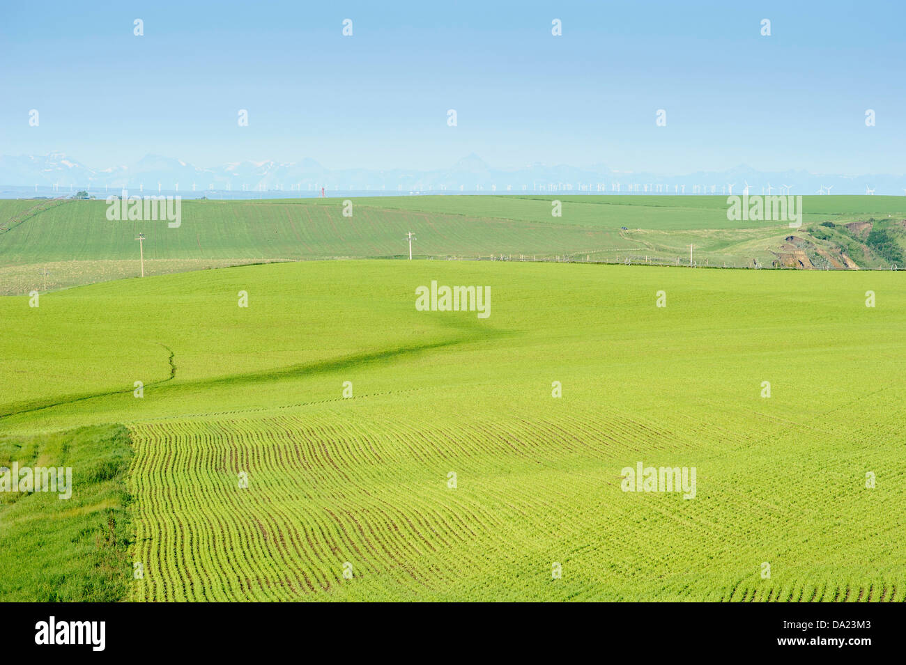 Southern prairies hi-res stock photography and images - Alamy