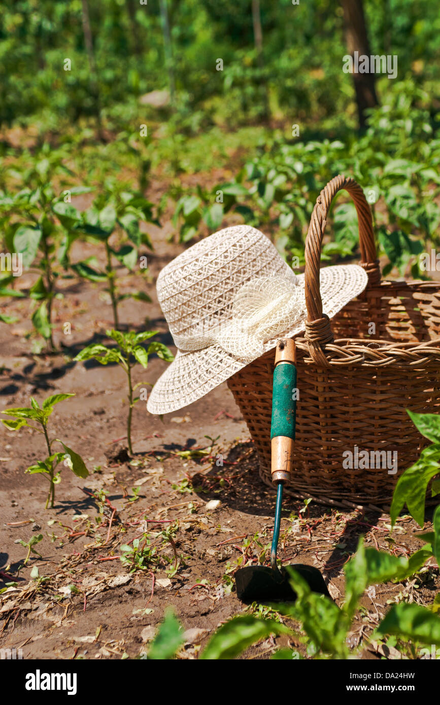 Garden work. Basket with summer hat and hoe Stock Photo - Alamy