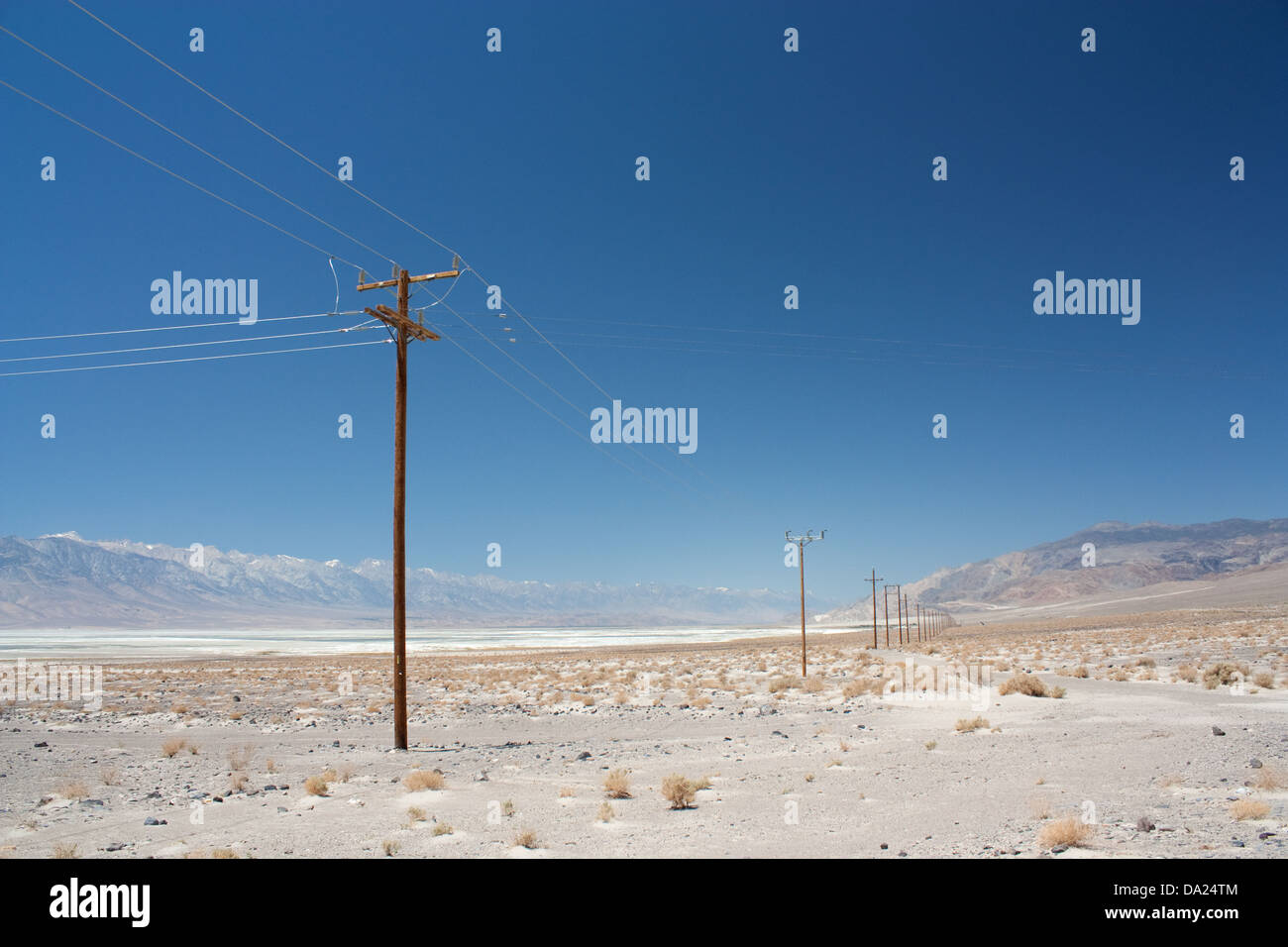 Telegraph Poles in the Desert California Stock Photo - Alamy