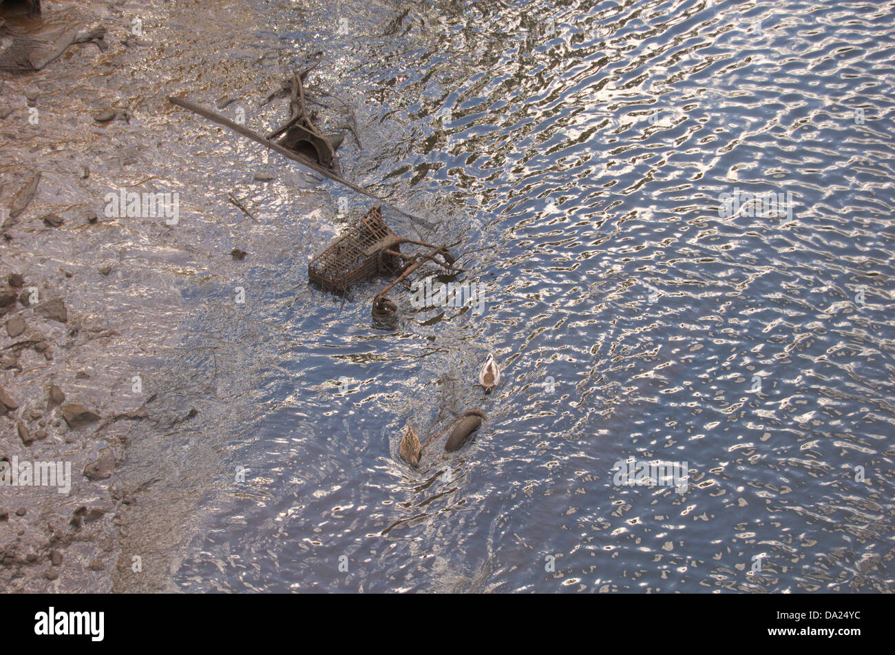 Mud bank on the River Clyde in Glasgow, Scotland Stock Photo - Alamy