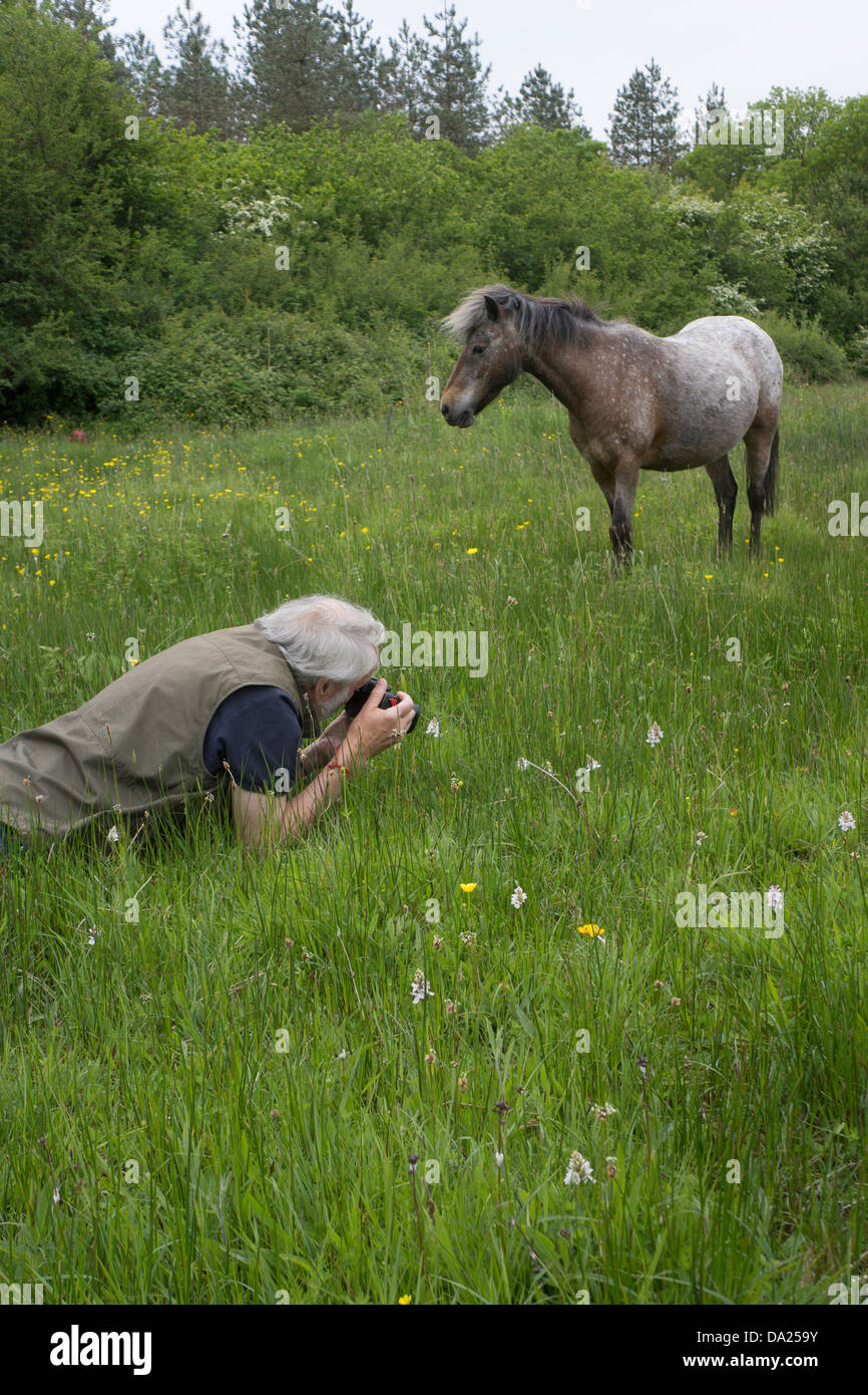 The Orchid Hunter under Surveillance Stock Photo - Alamy