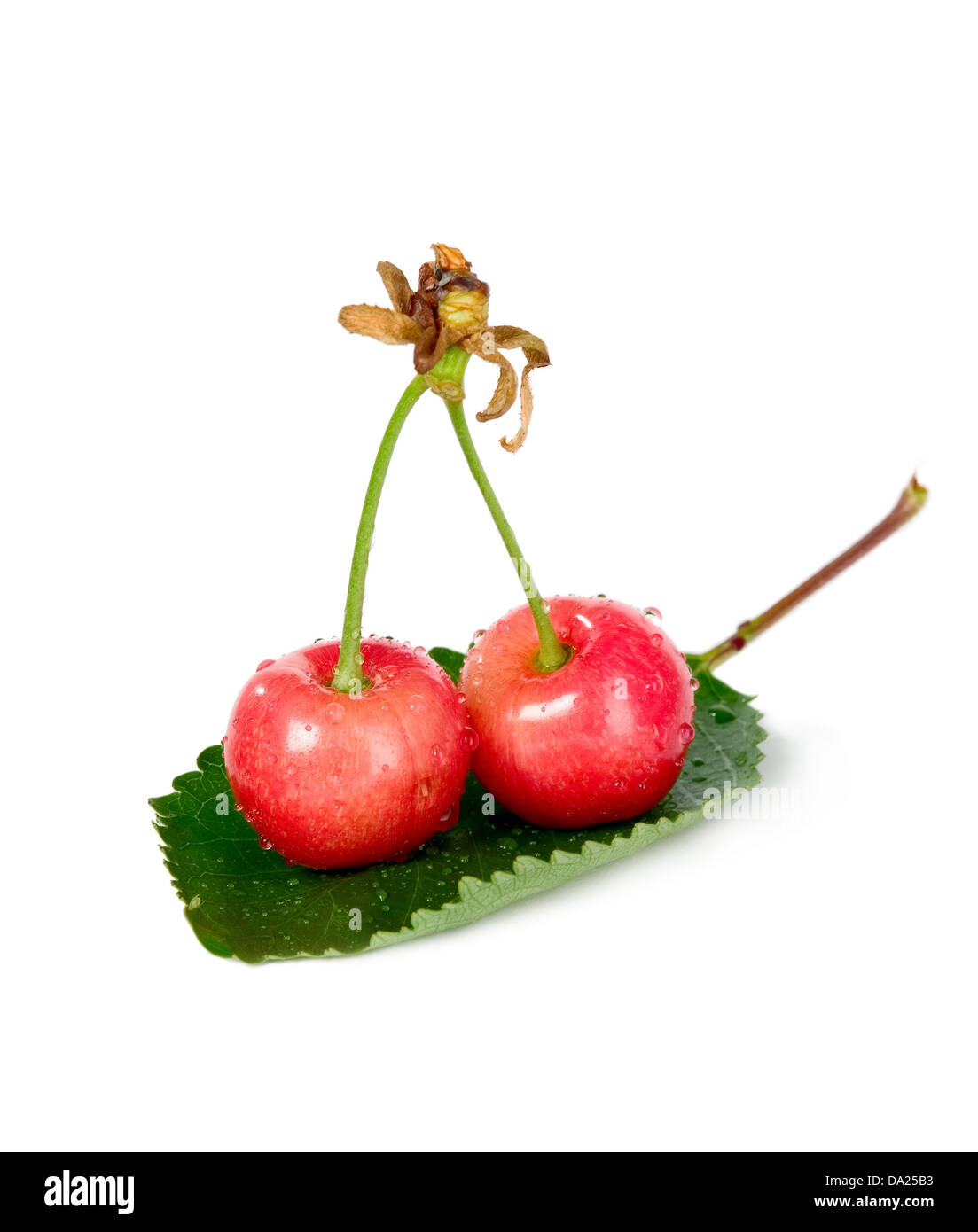 Cherry stalk hi-res stock photography and images - Alamy