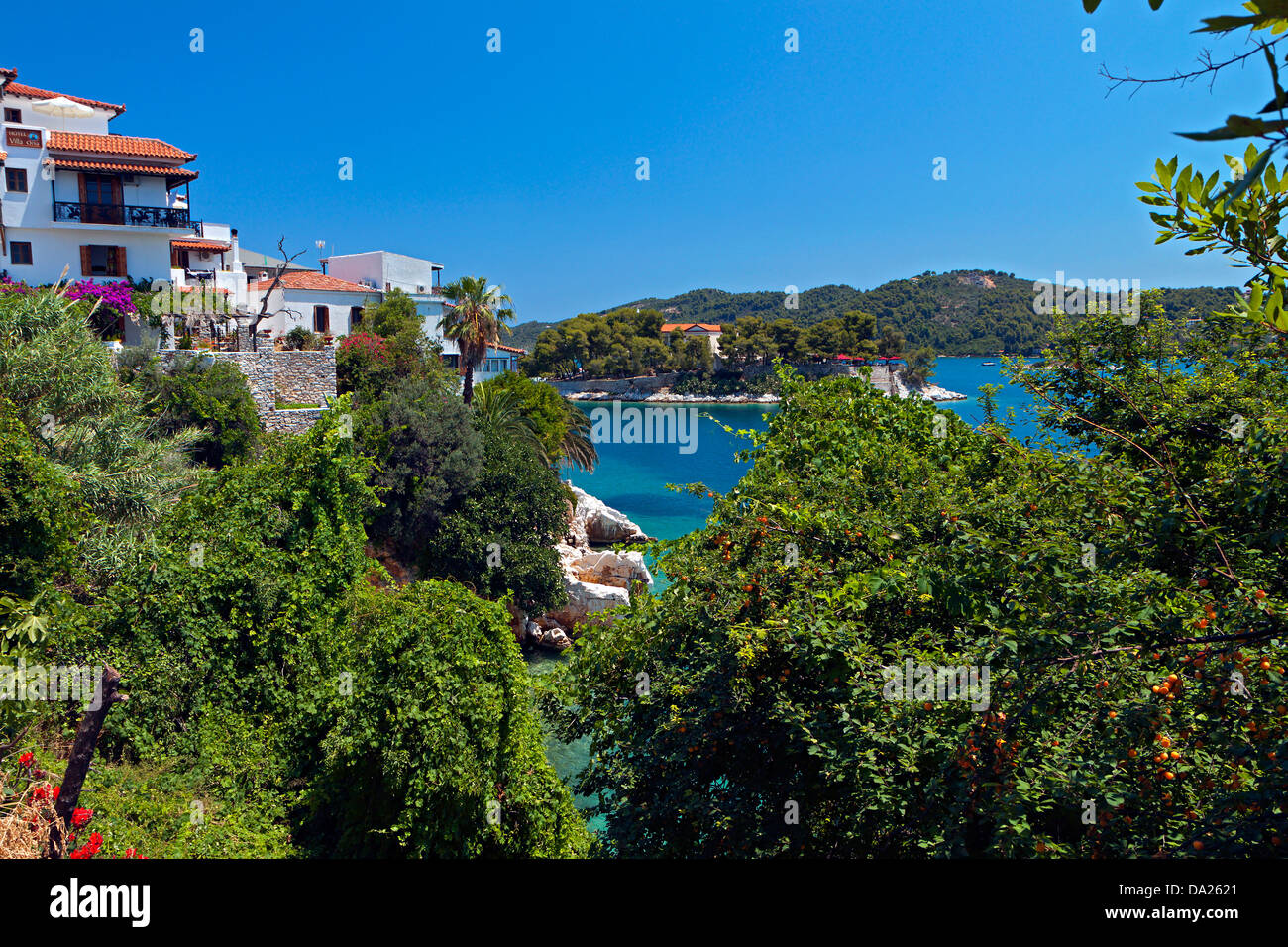 Skiathos island in Greece. View of Plakes area Stock Photo - Alamy