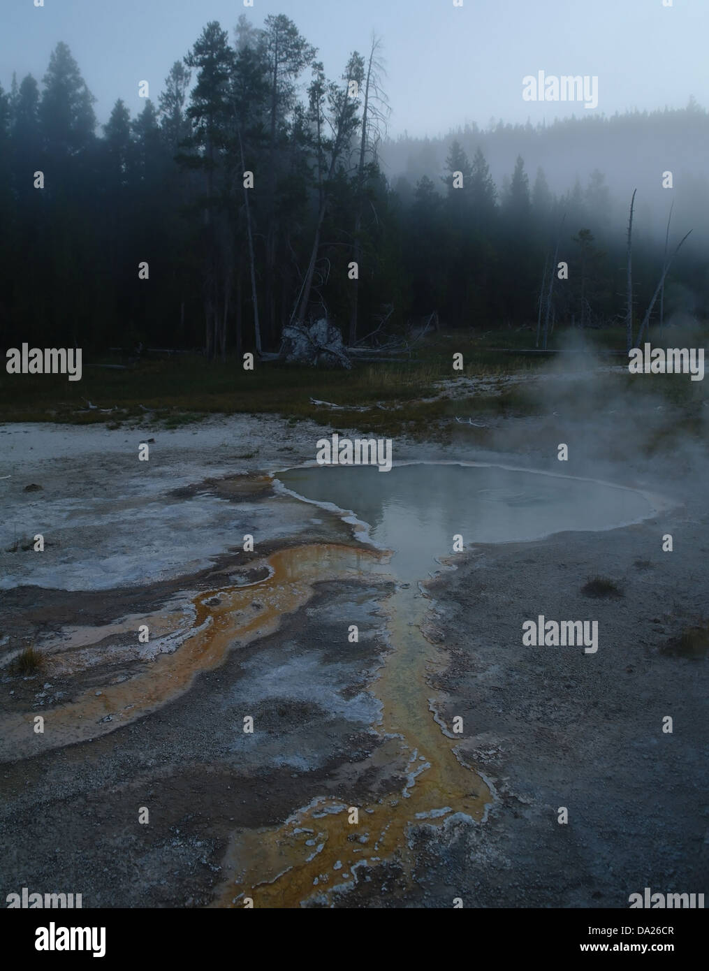 Dawn portrait, to steam fog pine trees, steaming Pendant Spring, with ...