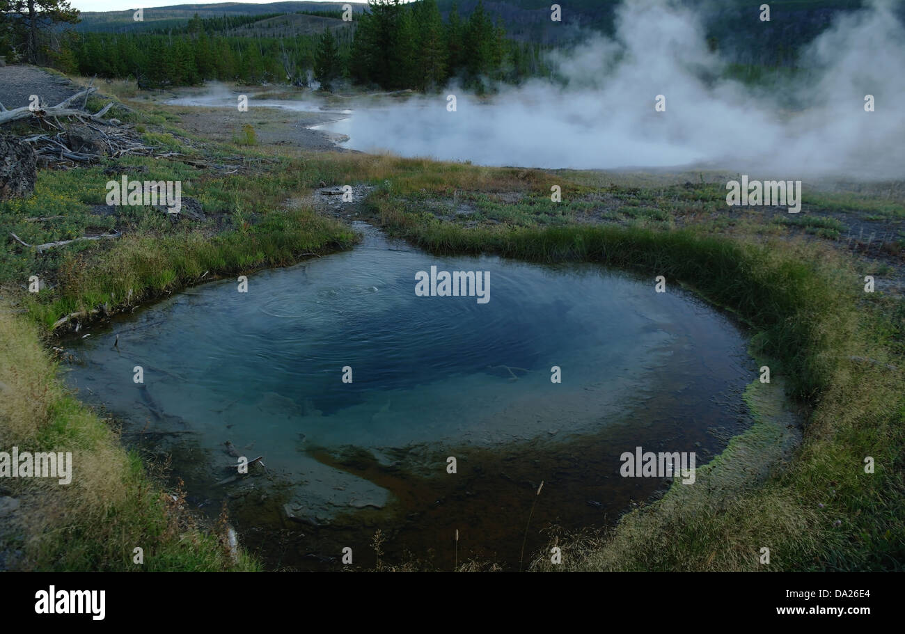 View, south to pine trees and steaming Gem Pool, bubbling pool Pinto ...