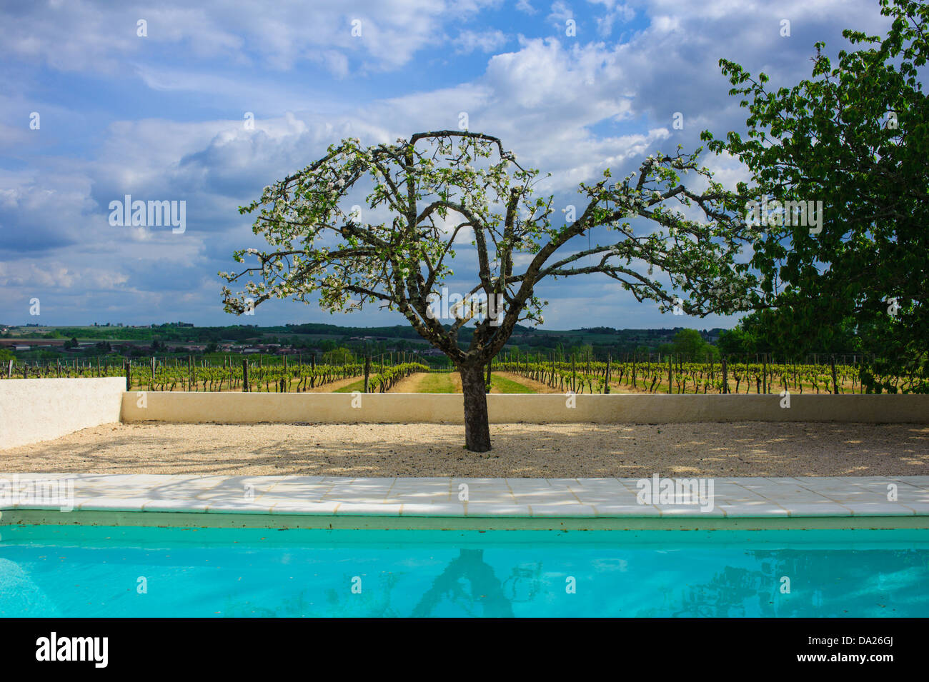 Apple tree and pool Stock Photo - Alamy