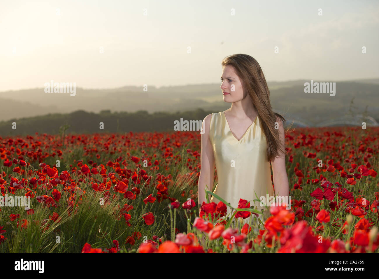 Model Megan Cheek dressedin Sarina Poppy's luscious silk dresses in a ...